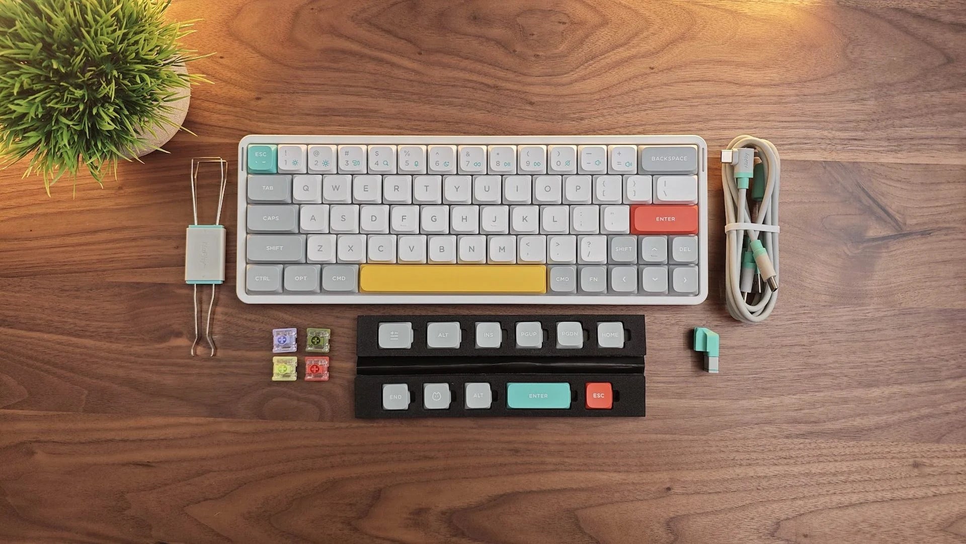 NuPhy Keyboard Text Reviews in January 2024