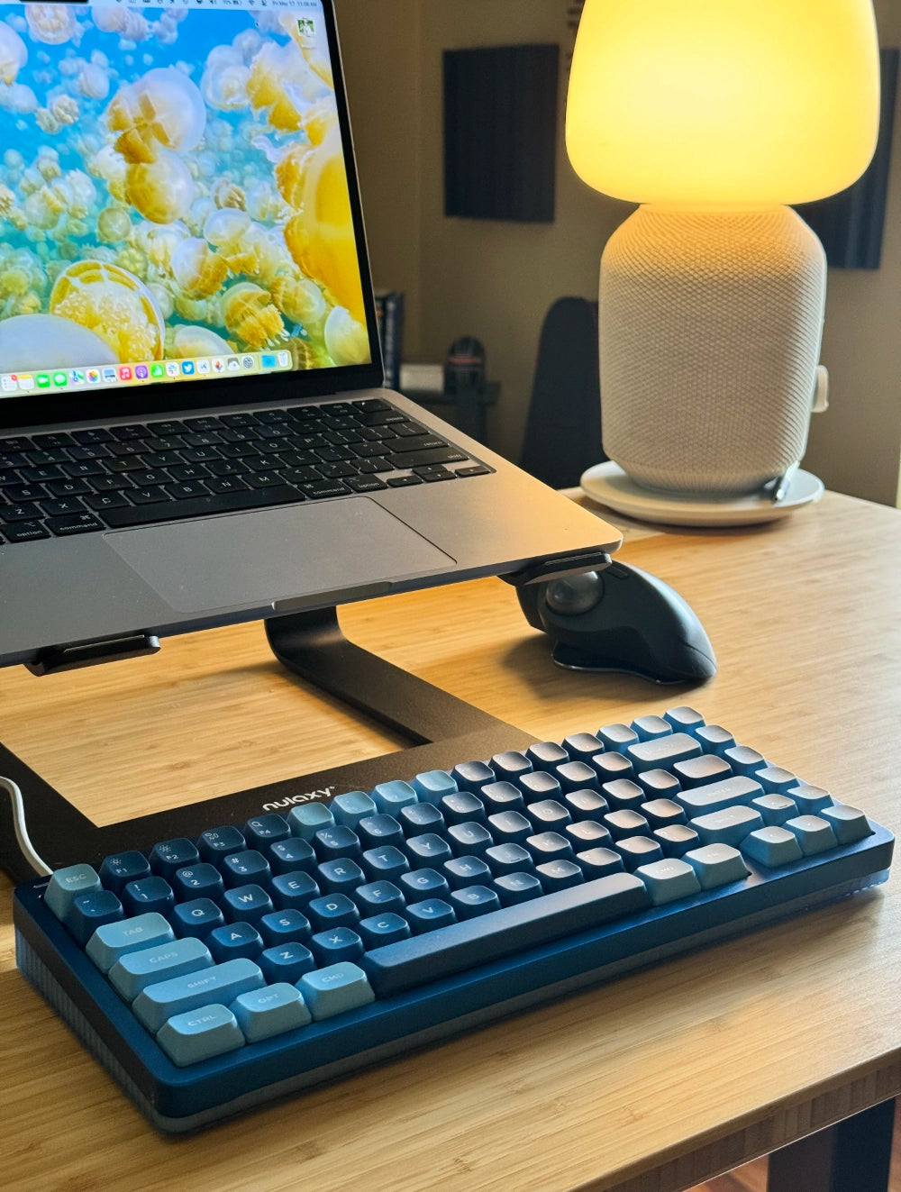 NuPhy Keyboard Text Reviews in May 2024